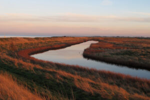 Blackwater - Essex Rivers Hub